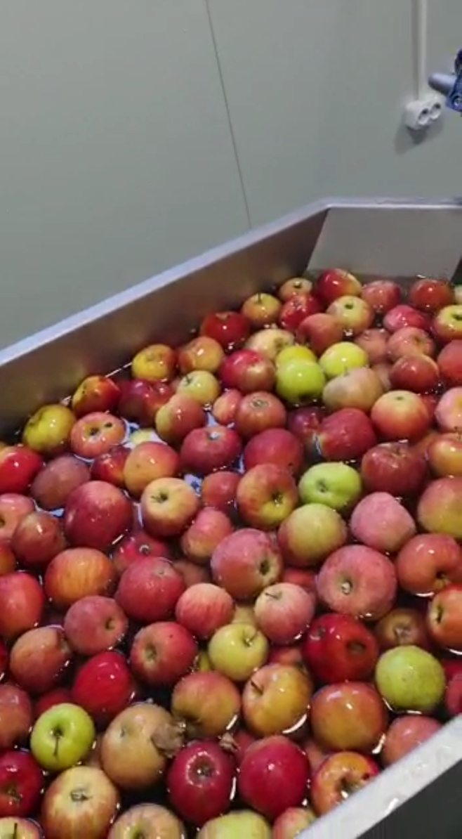 Techno Consulting Science